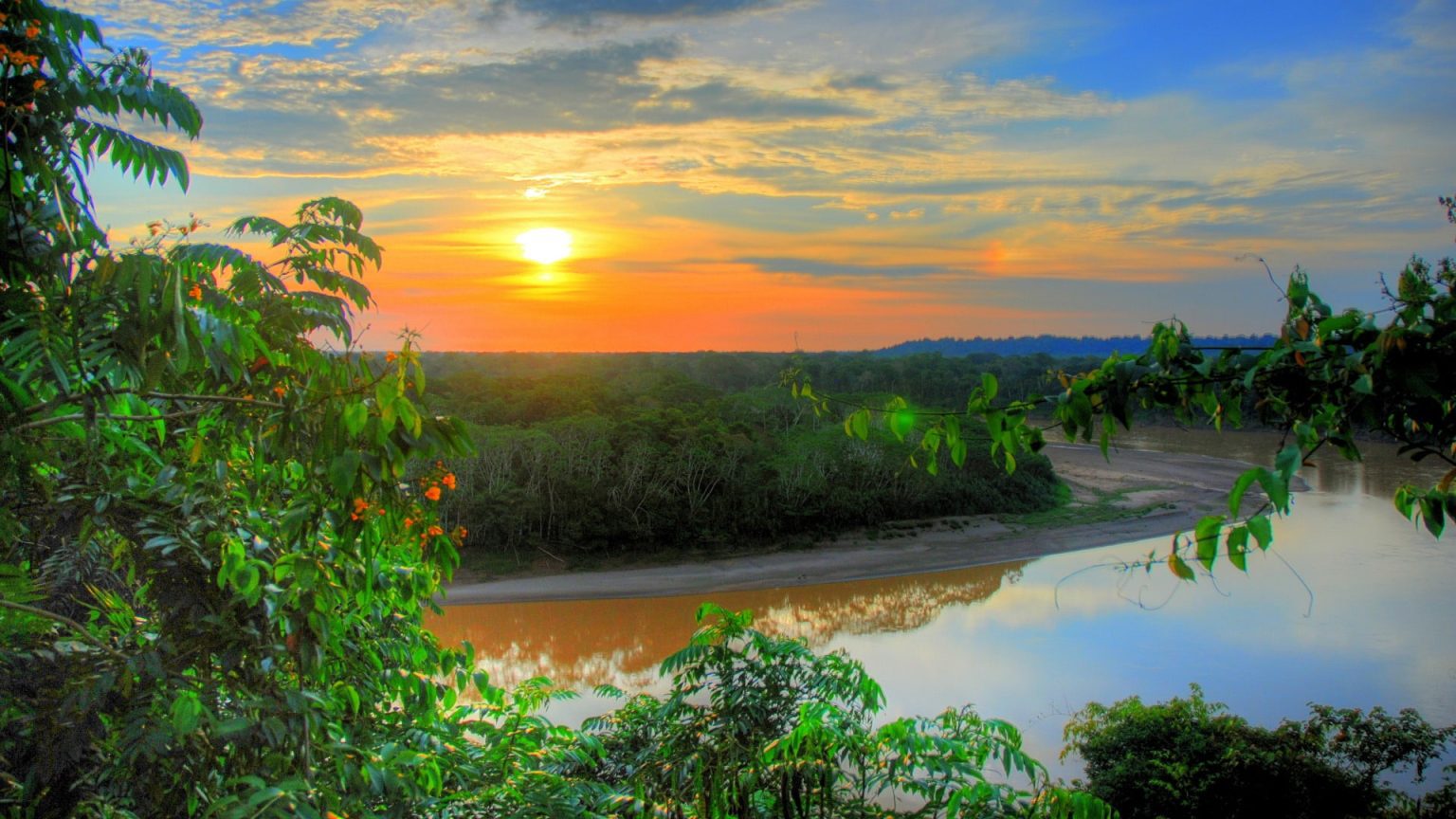 Viagem Amazônia: Descubra a Biodiversidade Incrível do Bioma - Travelei